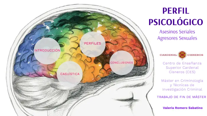 Perfil psicológico: analizando la mente humana | Colegio de Psicólogos SJ